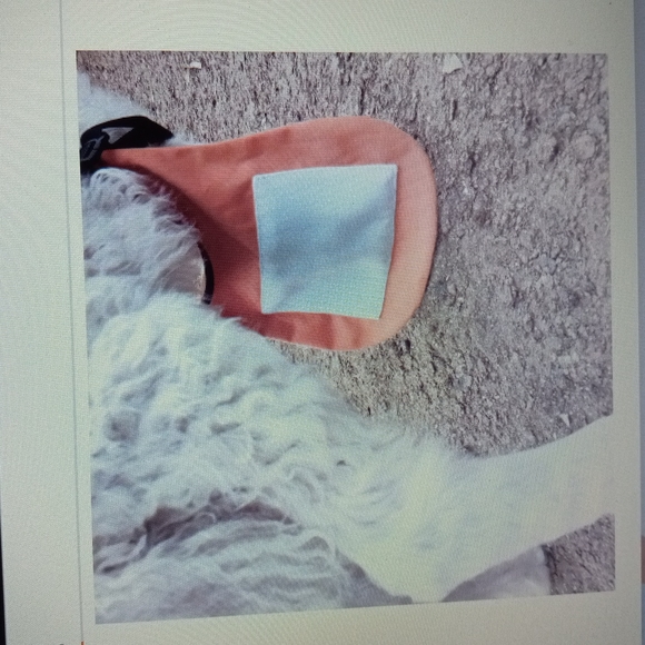 Yuyuso | Other | Anti Breeding Buck Apron Anti Mating Skirt For Goats ...